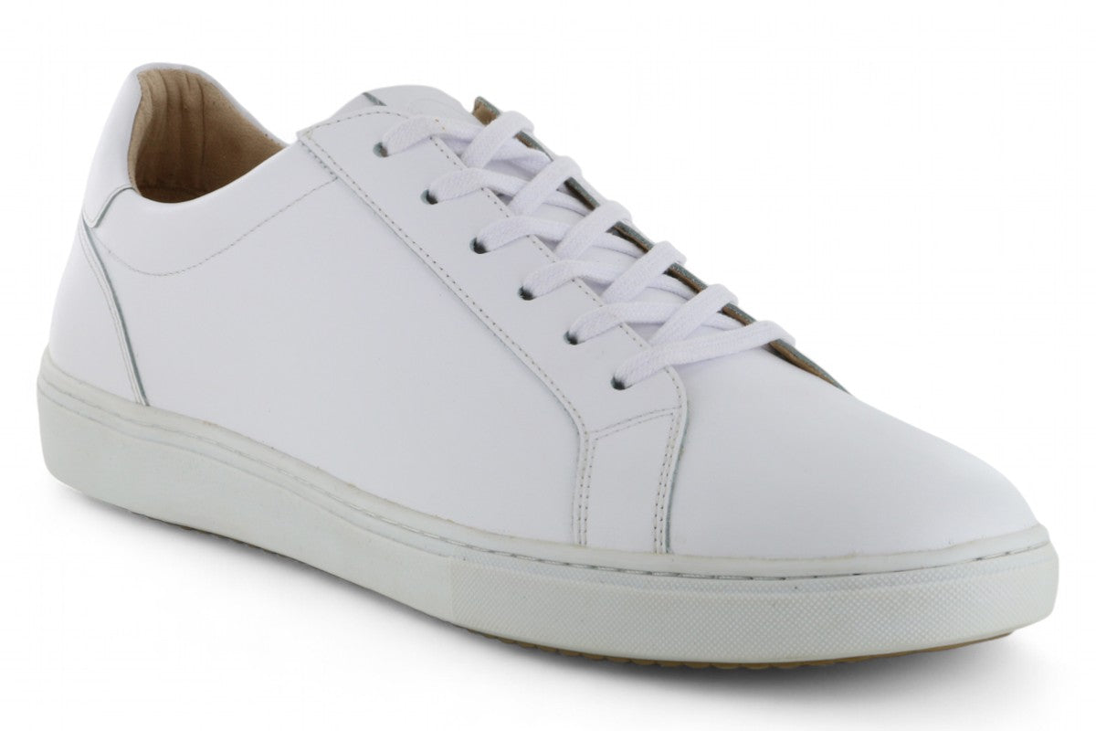 Michael Ellis Brenden Lace-Up Sneaker White – Michael Ellis Footwear